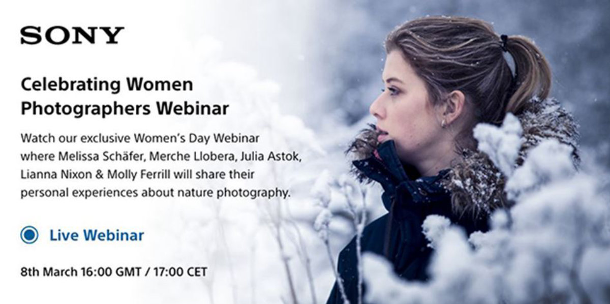 Celebrating wildlife photographers | Sony Women in Technology Award ...